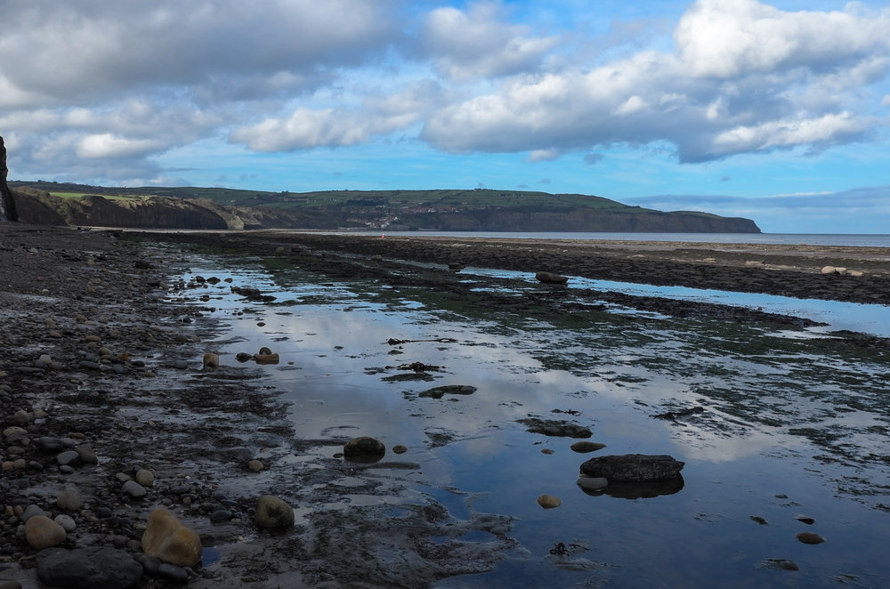 The Cinder Track: Robin Hood's Bay to Ravenscar, Seals and a Leica X ...