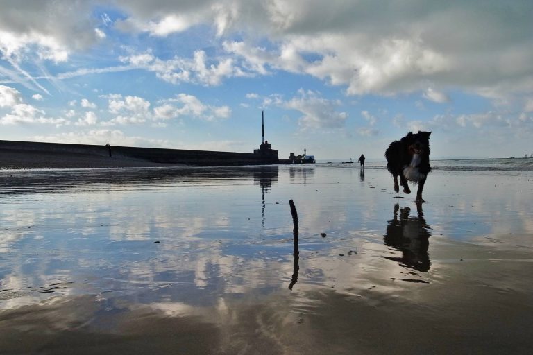The Ricoh GRD IV, a retrospective view in Le Havre - Macfilos