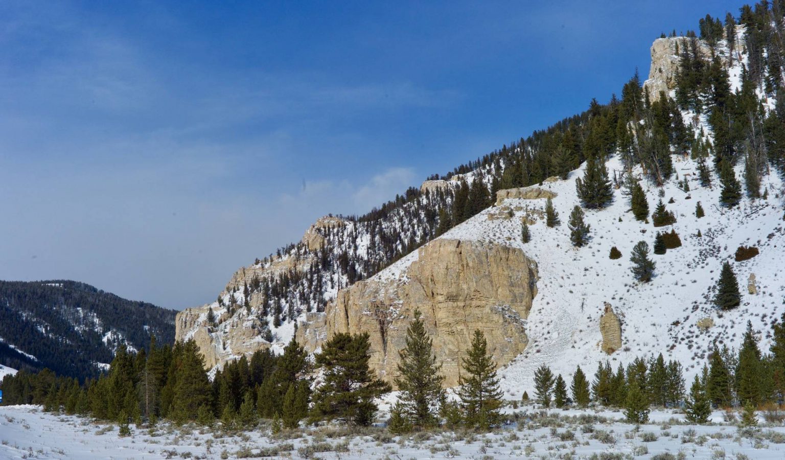 Yellowstone in January: Why? Why? Why? - Macfilos