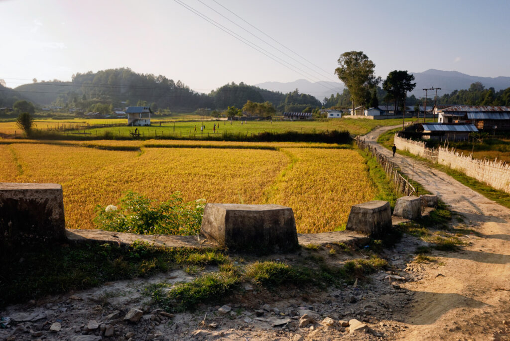 The Golden Fields of Ziro Valley - Macfilos