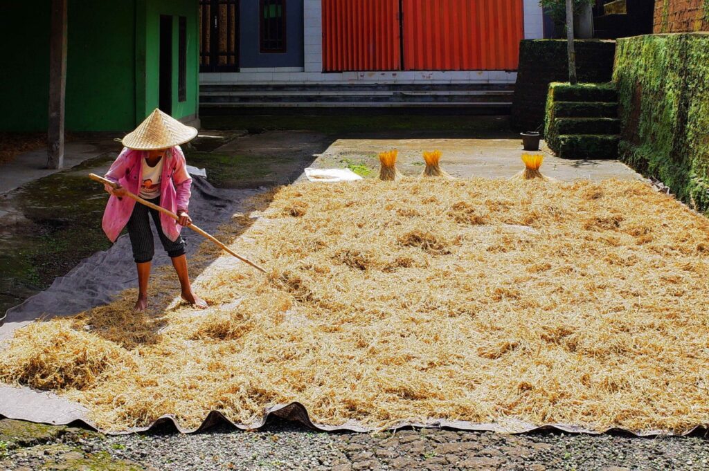 Bali, a land of temples, art, worship and rice - Macfilos