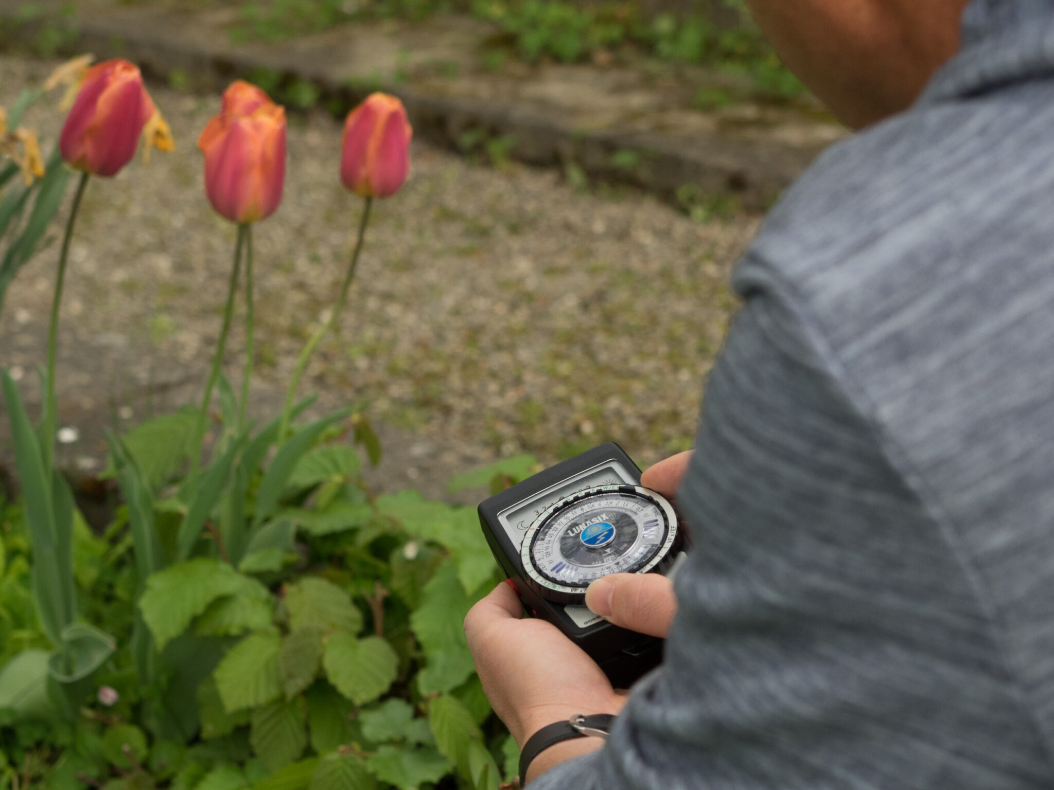 Gossen, Sekonic, vintage, high-tech: review of five hand-held light meters