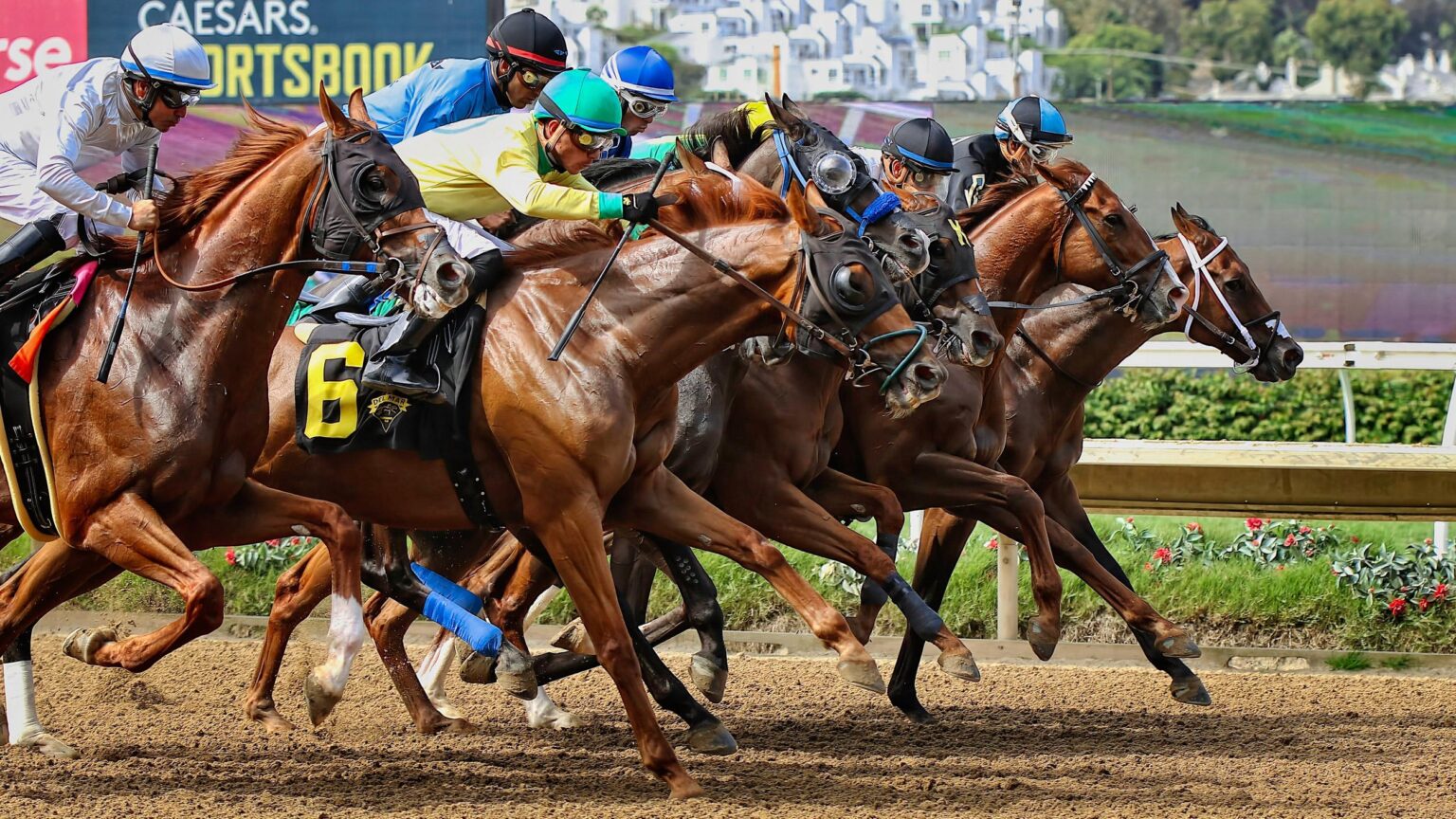 My Summer: Where the surf meets the turf - Macfilos