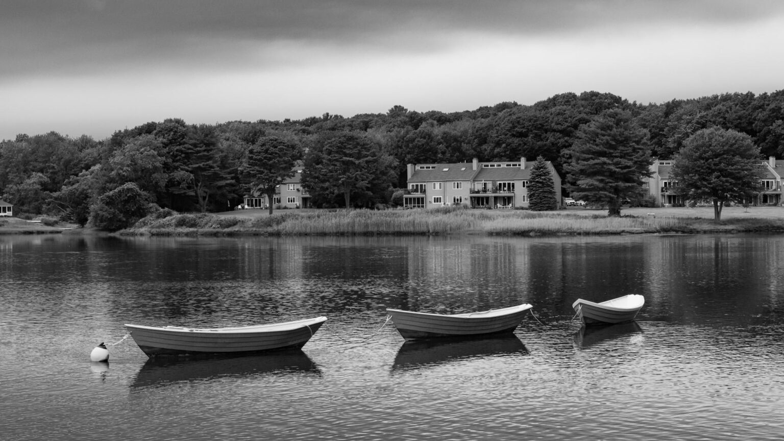 My Curated Life: Photography meets poetry with a Persian twist - Macfilos