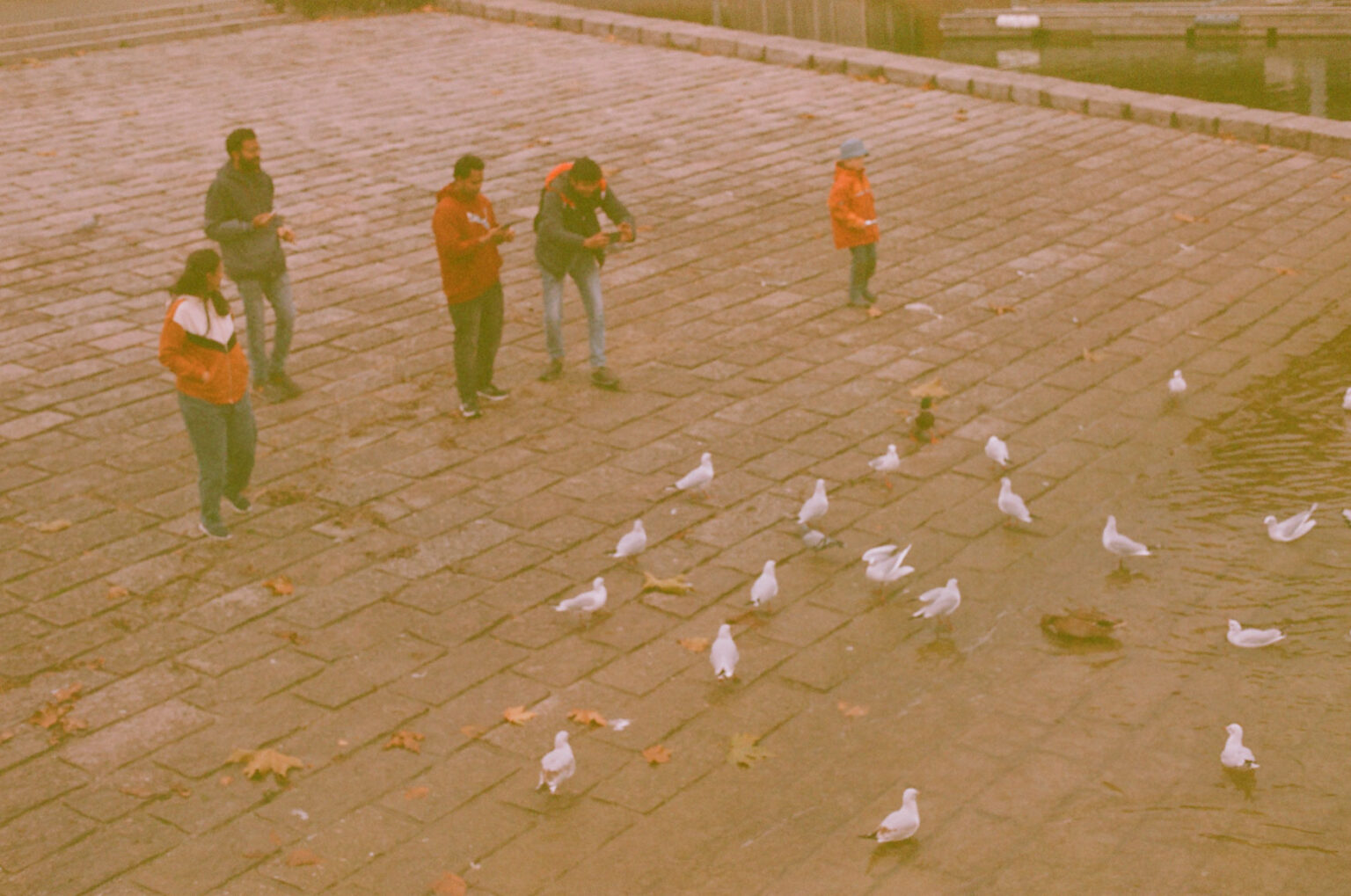 Club Color 200 negative film, 22 years after expiry: the mystery roll