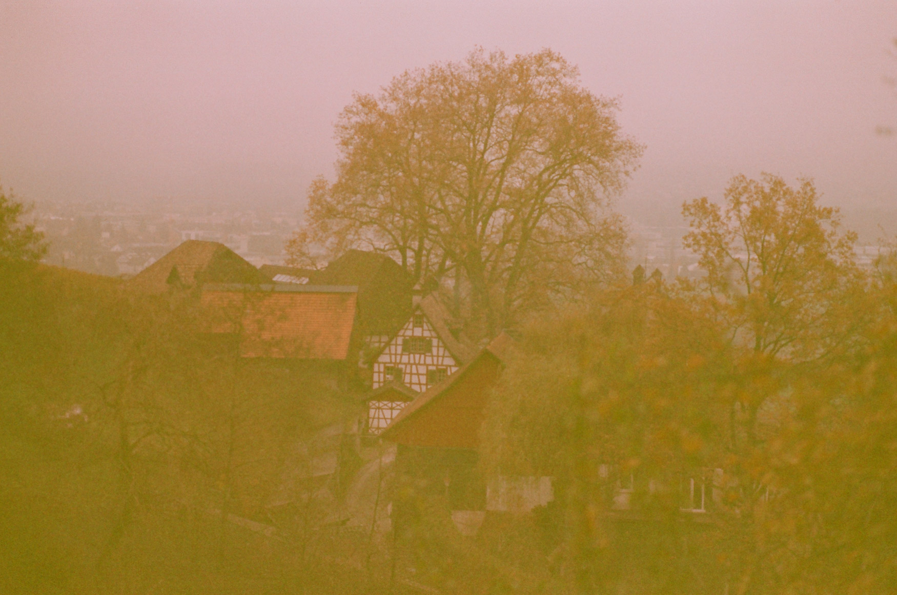 Club Color 200 negative film, 22 years after expiry: the mystery roll