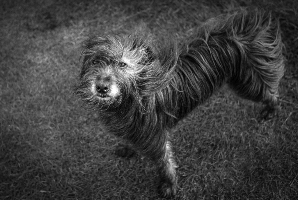 Jonathan Slack tries the new Leica M6 and adds a touch of history
