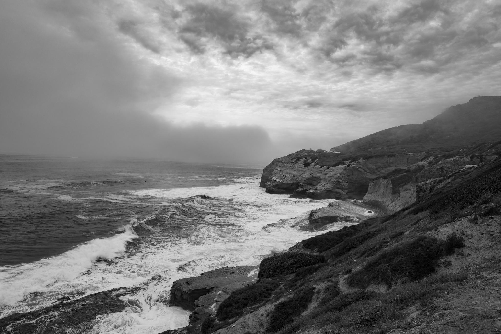 Palaeontology and photography: Homo monochromensis revealed