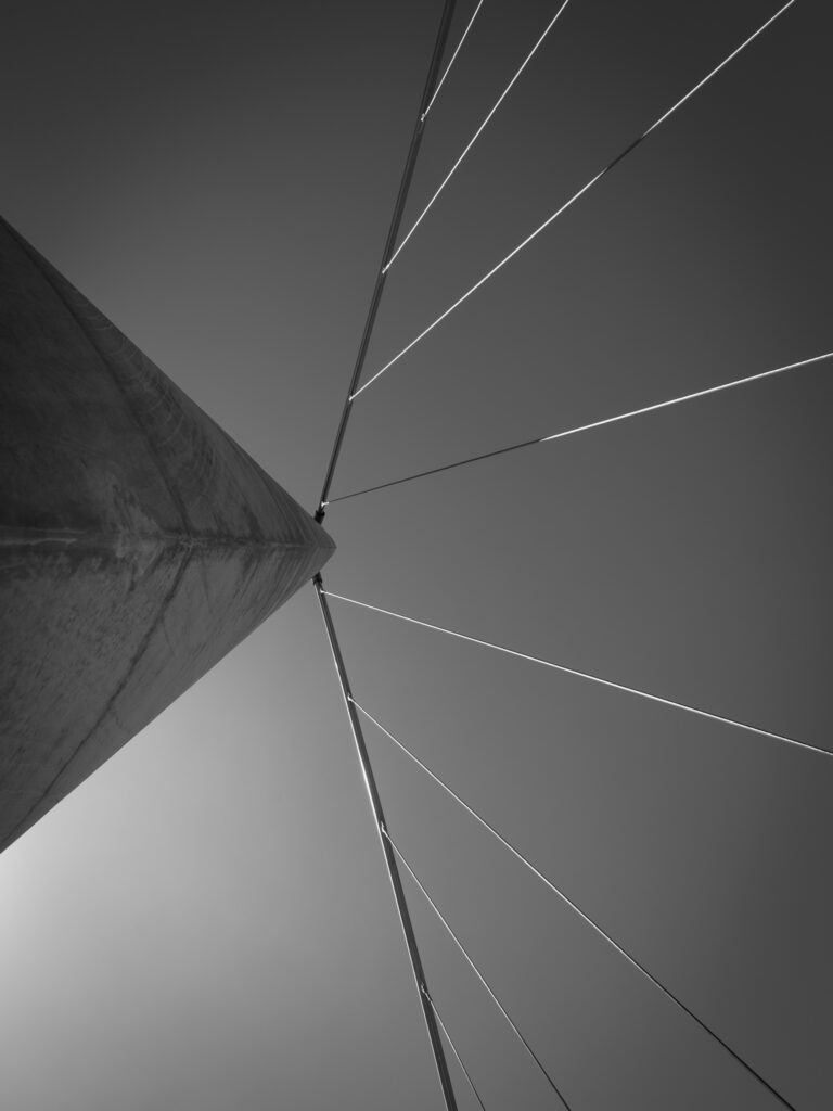 Imogen Cunningham: pioneering photographer from California