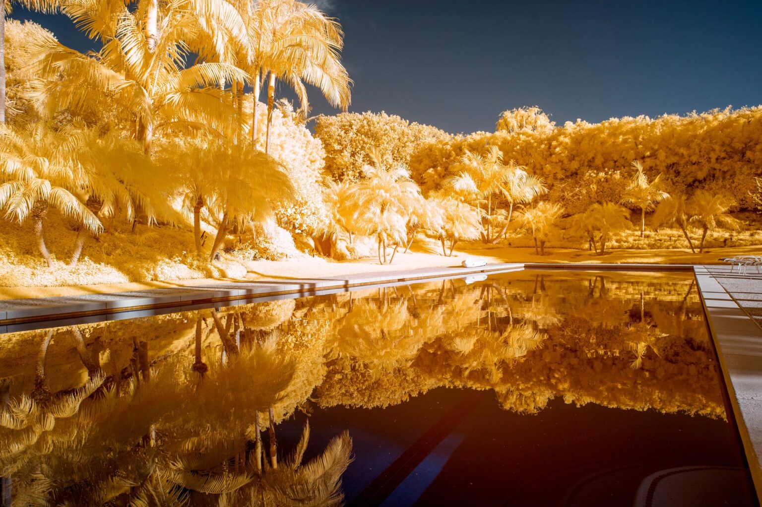 Infrared Photography: A beginner's guide to a new world