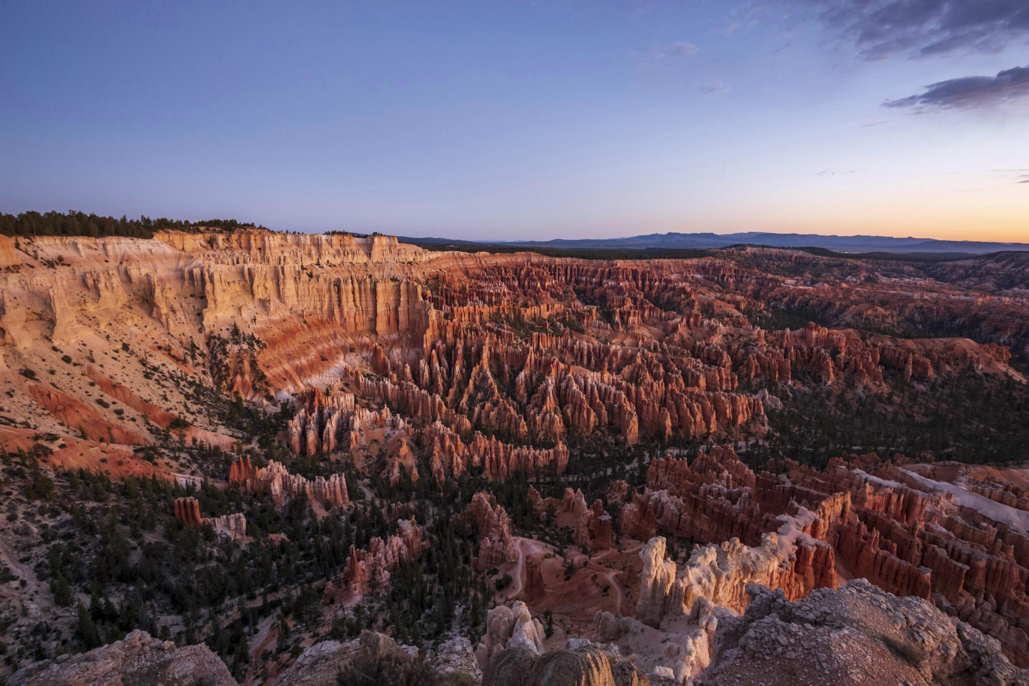 Voigtländer 15mm super-wide Heliar f/4.5 VM: a hands-on review