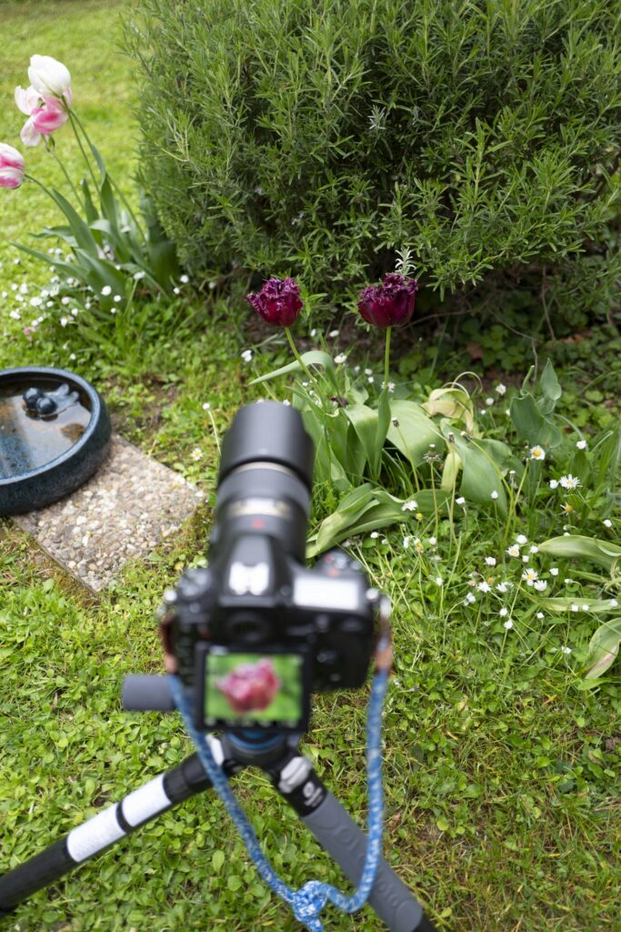 Focus Stacking: Manipulating depth of field through computation