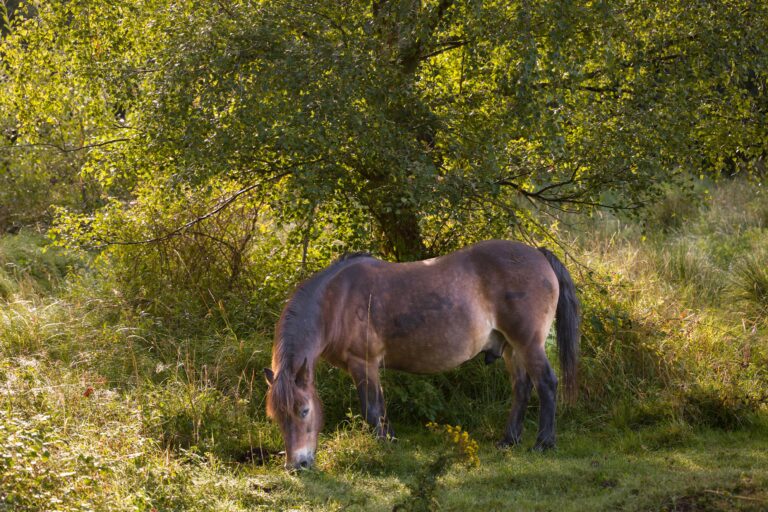 SL3-S: Jonathan Slack's review of Leica's speedy new FF camera