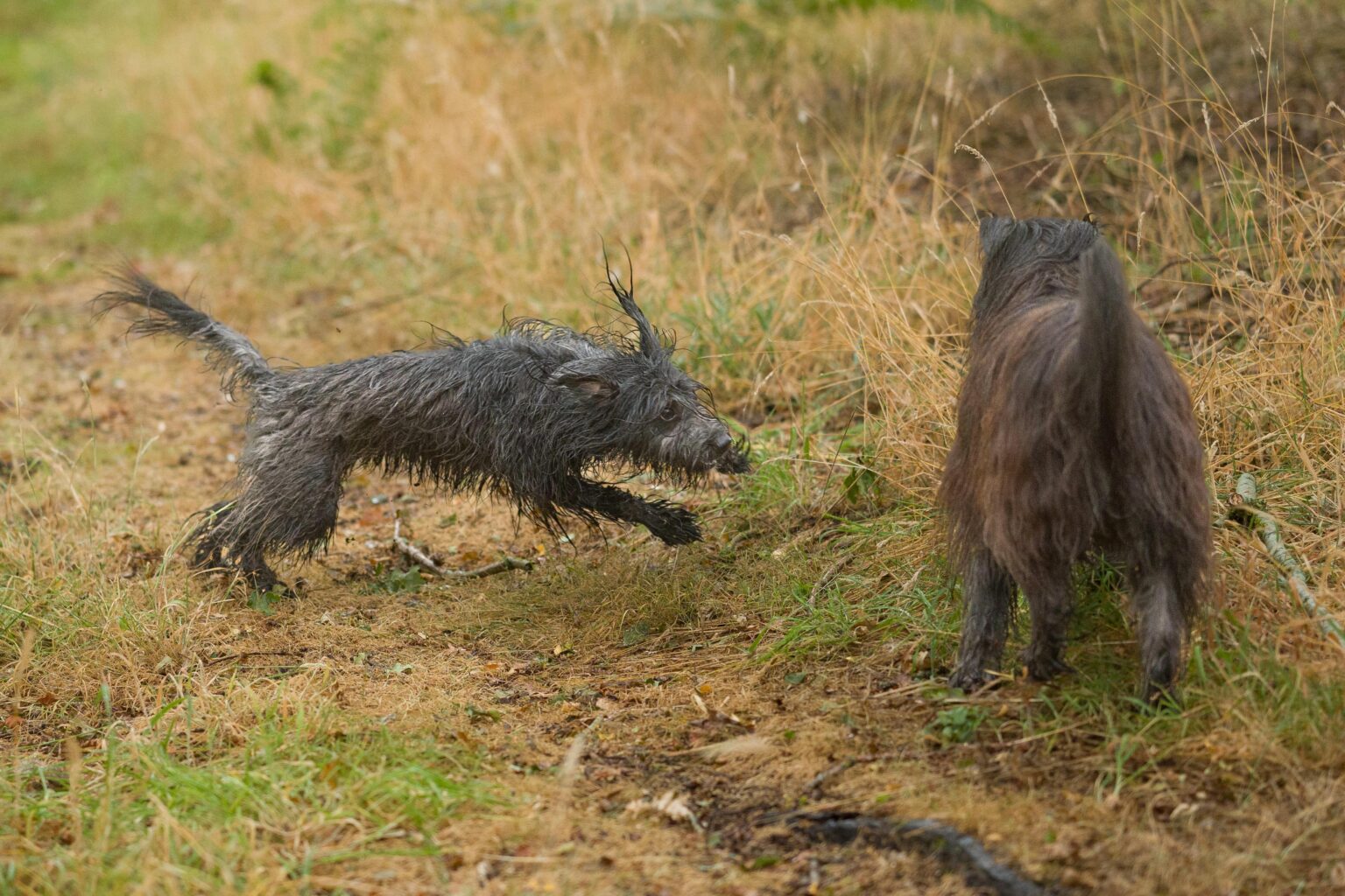 SL3-S: Jonathan Slack's review of Leica's speedy new FF camera