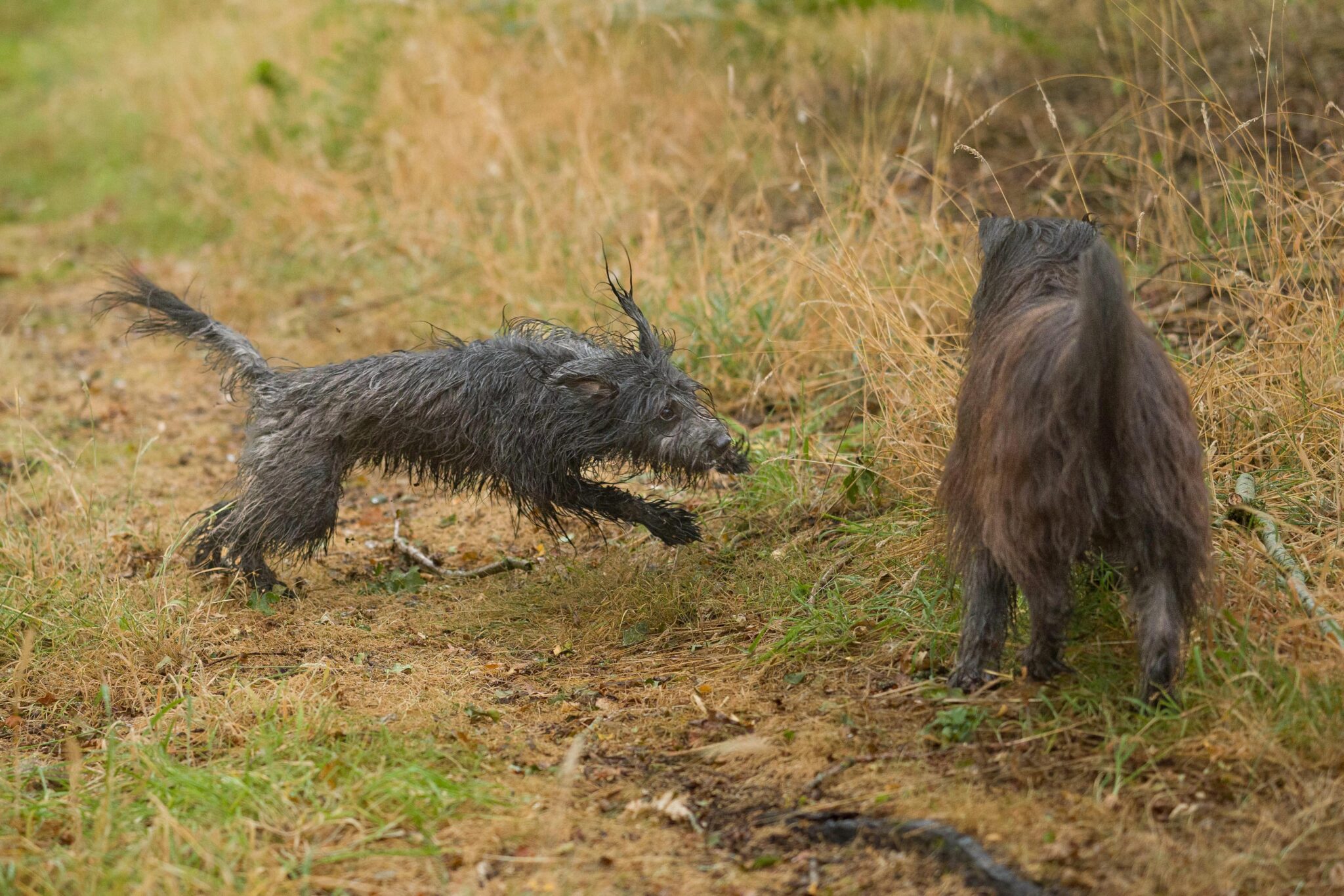 SL3-S: Jonathan Slack's review of Leica's speedy new FF camera