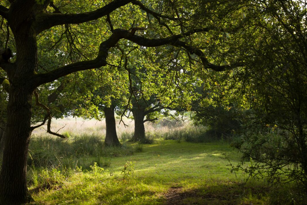 SL3-S: Jonathan Slack's review of Leica's speedy new FF camera