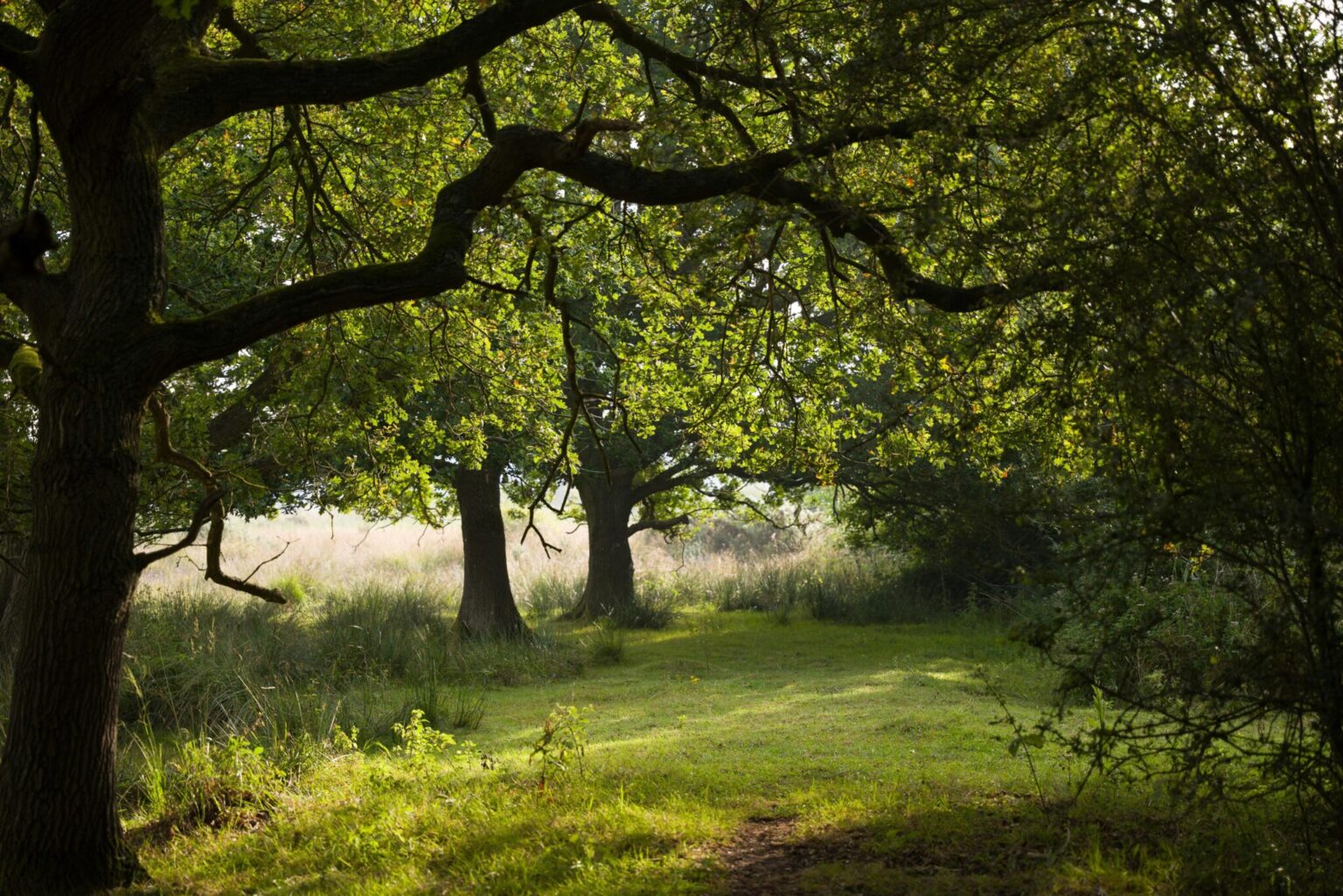 SL3-S: Jonathan Slack's review of Leica's speedy new FF camera