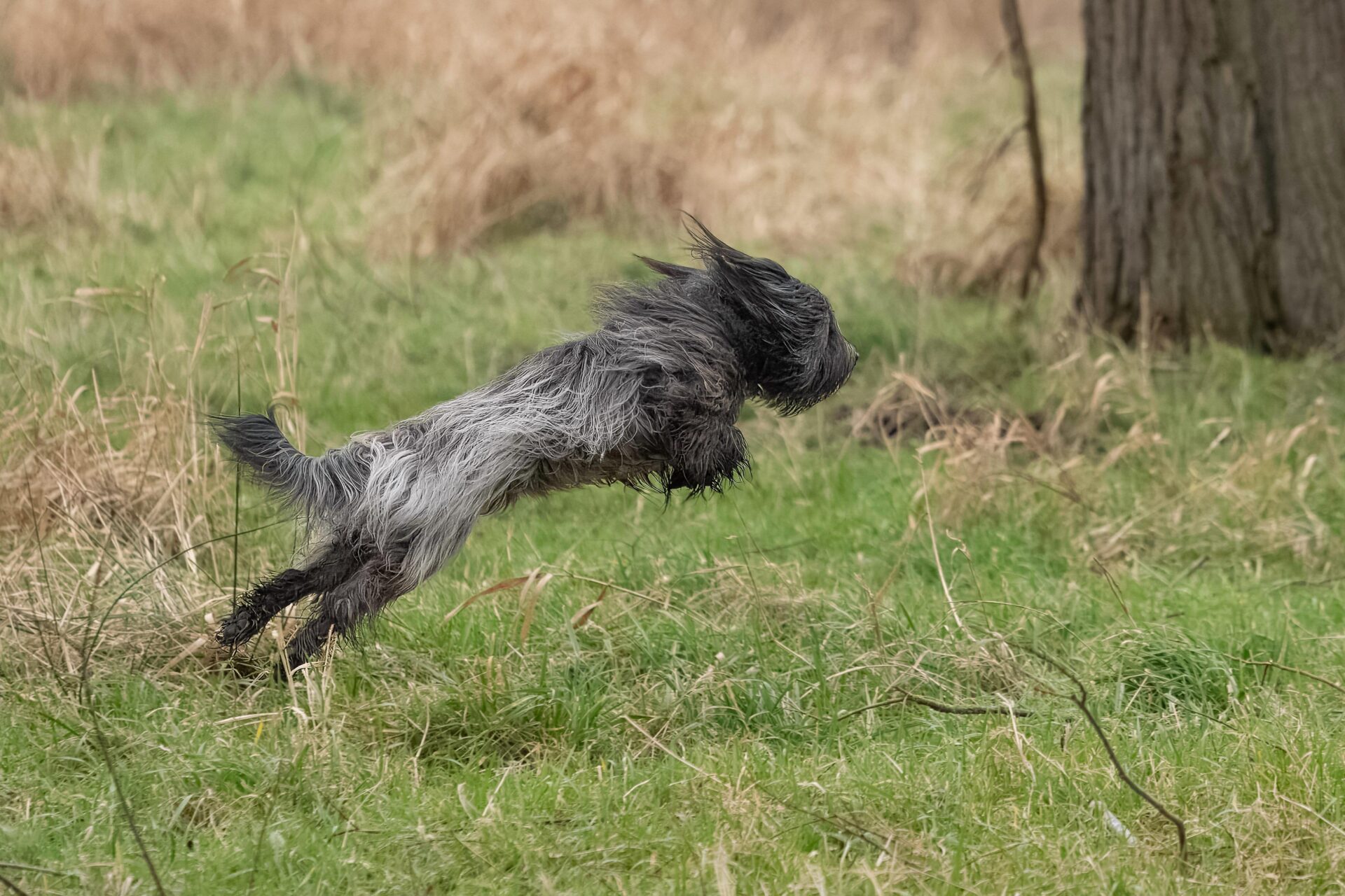 SL3-S: Jonathan Slack's review of Leica's speedy new FF camera