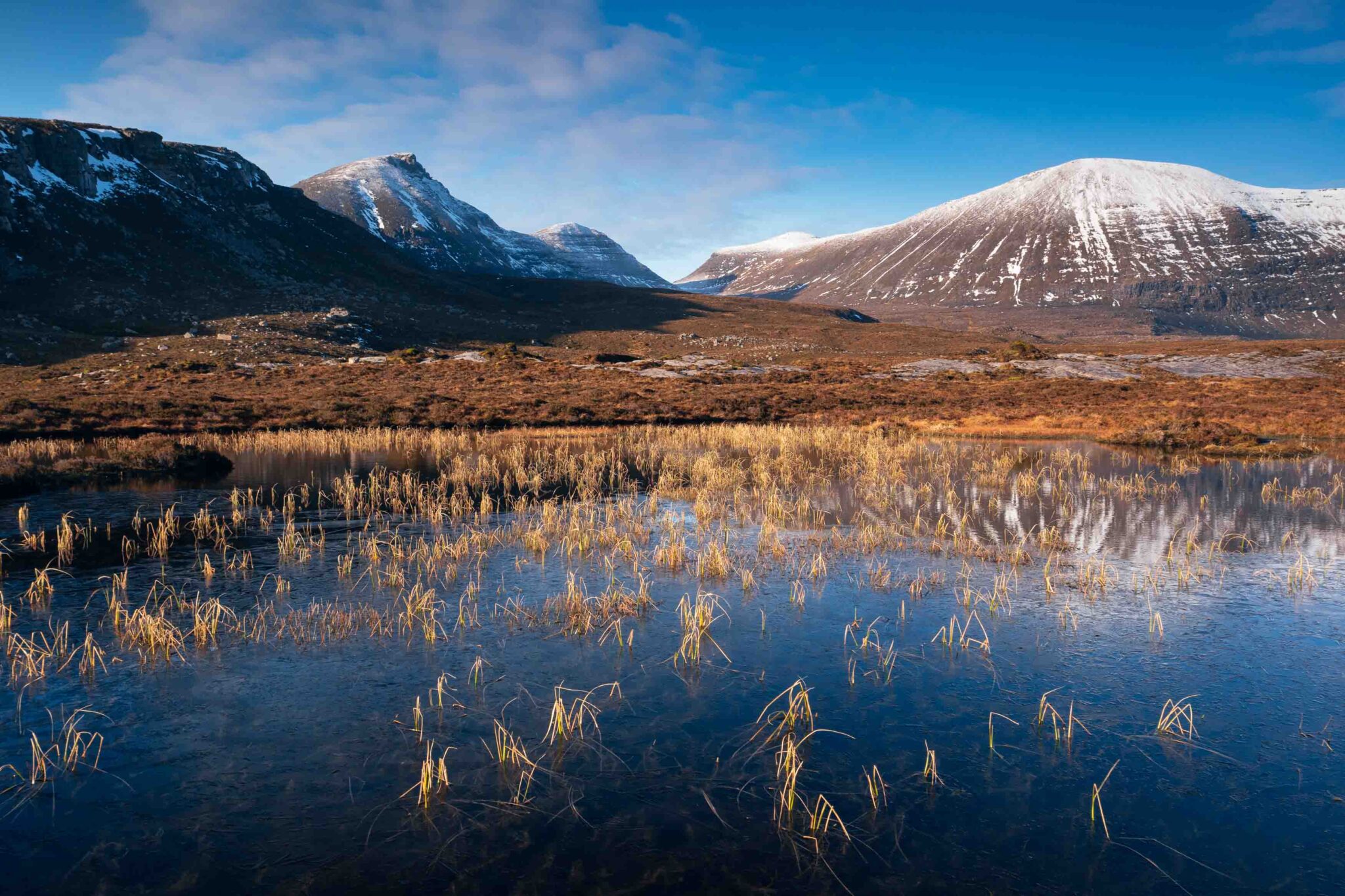 The Leica CL passes the final test: A Comprehensive Review - Macfilos