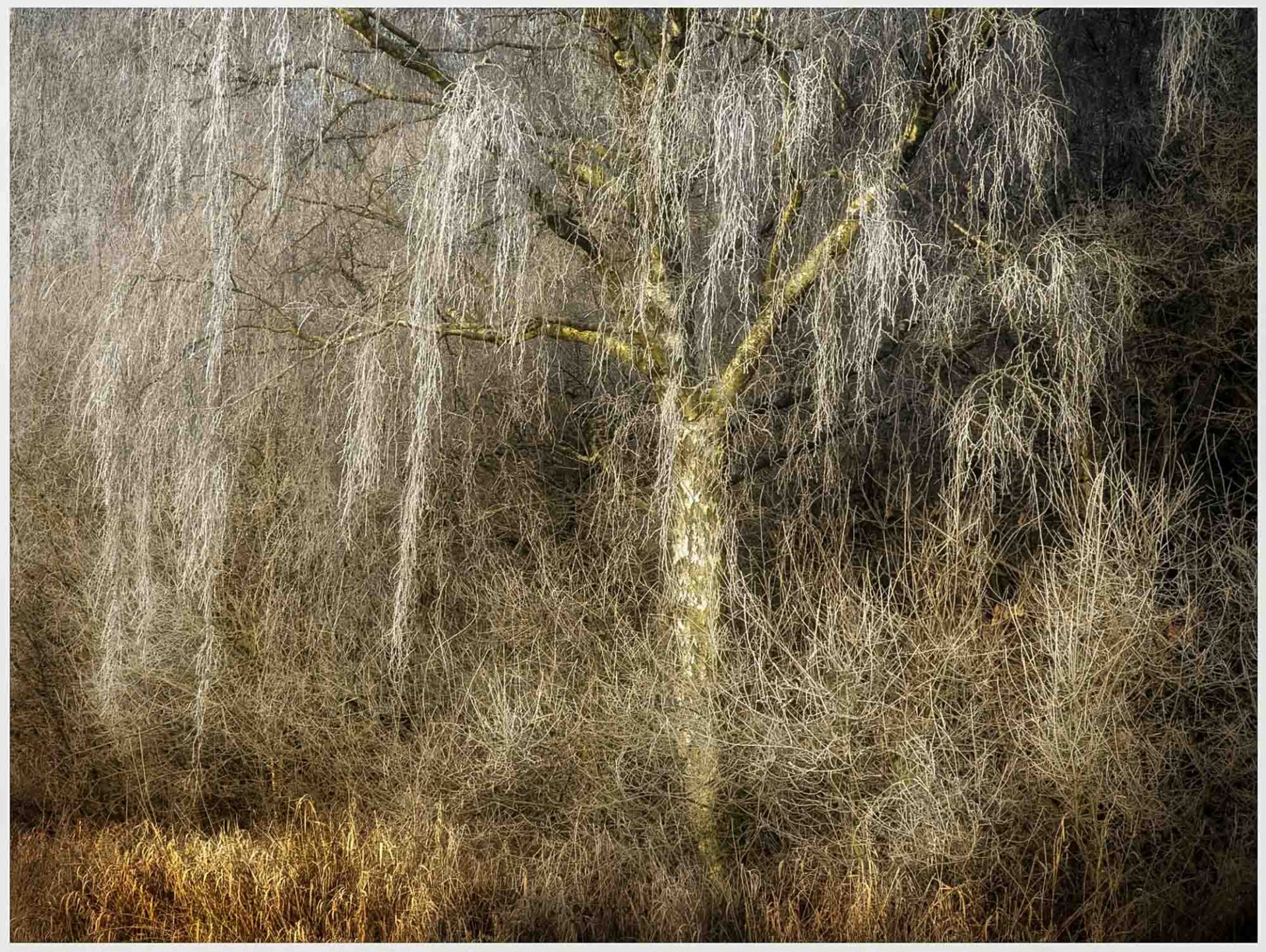 Introducing Mali Davies: A photographer worth getting to know - Macfilos