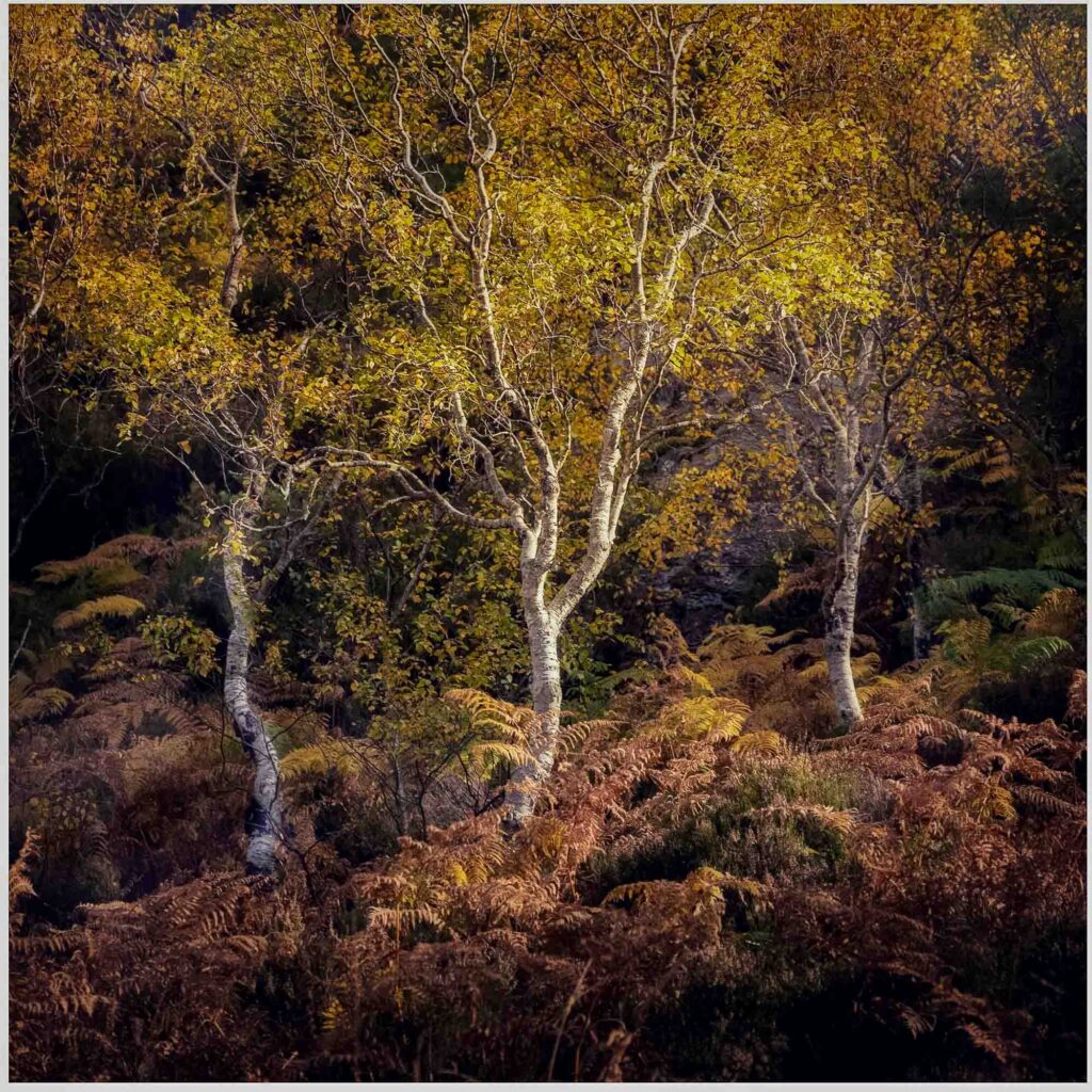 Introducing Mali Davies: A photographer worth getting to know - Macfilos