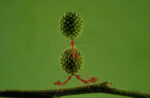 LCE Photographer of the Year 2026 winners announced - Macfilos
